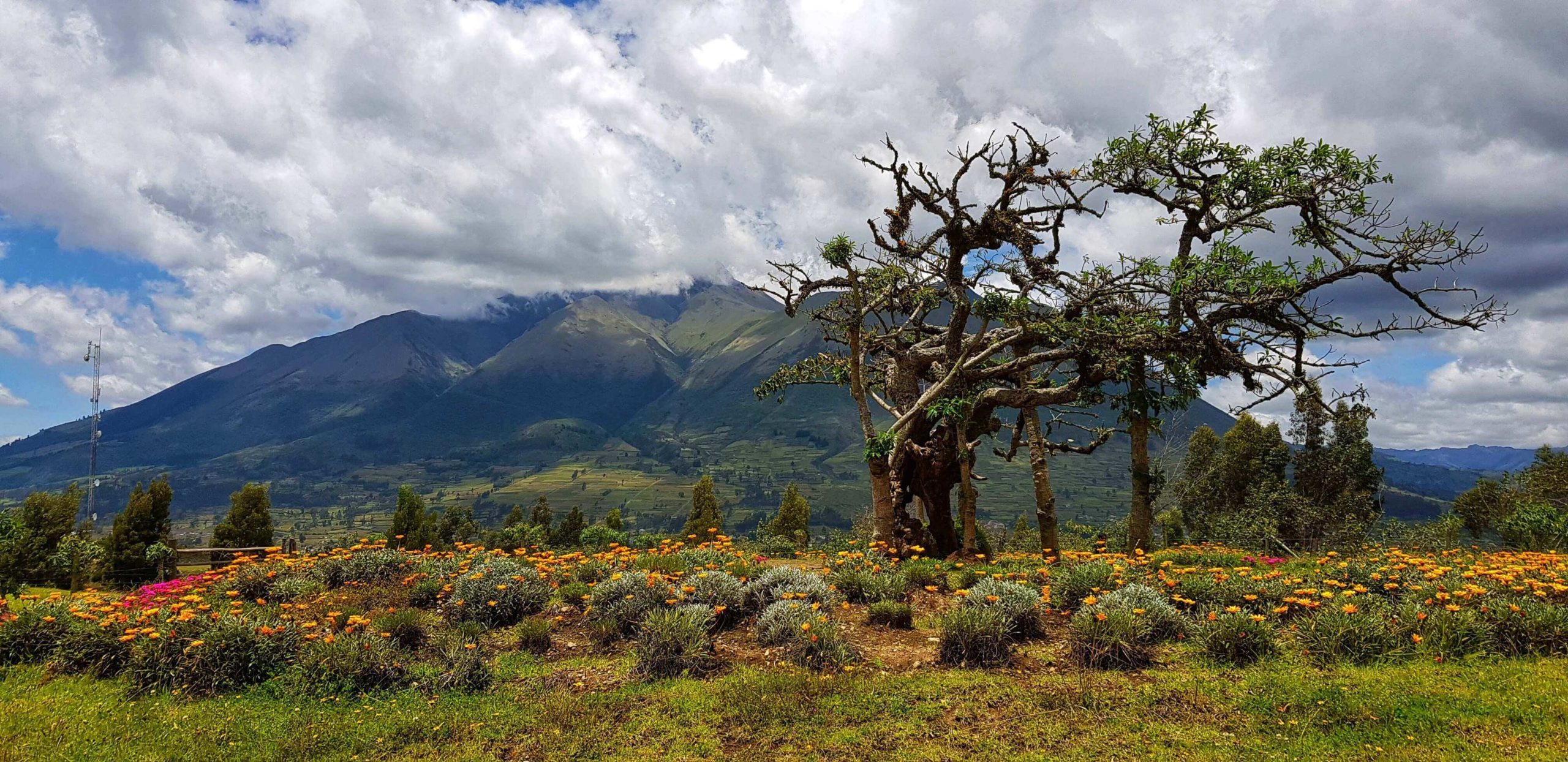 Otavalo. Tajemnicze miejsce - El Lechero - byvioleta